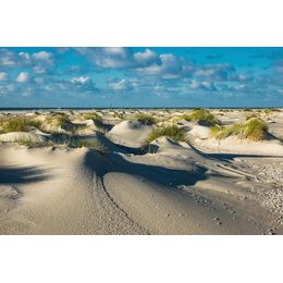 papermoon Fototapete "D&Uuml;NEN-NATUR NORD SEE SAND STRAND MEER W&Uuml;STE LANDSCHAFT", B/L: 5m x 2,8m, Bahnen: 10 Stk., bunt, Schlafzimmer, Tapeten