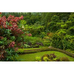 papermoon Fototapete "GARTEN-BLUMEN B&Auml;UME PFLANZEN PARK STEINE BL&Uuml;TEN WALD", B/L: 2,5m x 1,86m, Bahnen: 5 Stk., bunt, Schlafzimmer, Tapeten