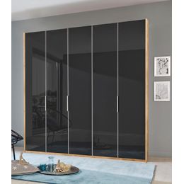 Kleiderschrank wimex, B:250cm H:216cm T:58cm, grau, Schlafzimmer, Schr&auml;nke, "Level by fresh to go", T&uuml;ren vollfl&auml;chig mit farbigem Glas