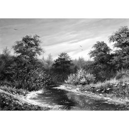 papermoon Fototapete "Landschaft Schwarz & Wei&szlig;", B/L: 5m x 2,8m, Bahnen: 10 Stk., schwarz, Schlafzimmer, Tapeten