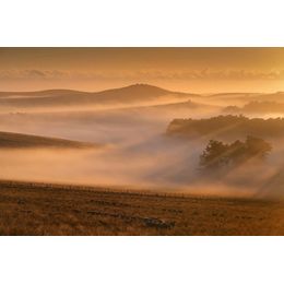 papermoon Fototapete "Nebel in Landschaft", B/L: 3,5m x 2,6m, Bahnen: 7 Stk., bunt, Schlafzimmer, Tapeten