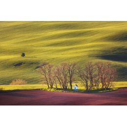 papermoon Fototapete "B&auml;ume in Fledern", B/L: 5m x 2,8m, Bahnen: 10 Stk., bunt, Schlafzimmer, Tapeten
