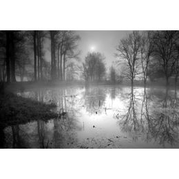 papermoon Fototapete "See im Wald Schwarz & Wei&szlig;", B/L: 3,5m x 2,6m, Bahnen: 7 Stk., schwarz, Schlafzimmer, Tapeten