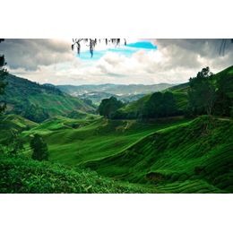 papermoon Fototapete "TEE BAUERNHOF-MALAYSIA NATUR GR&Uuml;N TAL GEBIRGE WALD", B/L: 2,5mm x 1,86mm, Bahnen: 5 Stk. St., bunt, Schlafzimmer, Tapeten