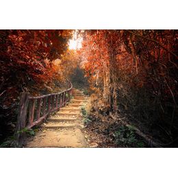 papermoon Fototapete "Treppe durch Wald", B/L: 5m x 2,8m, Bahnen: 10 Stk., bunt, Schlafzimmer, Tapeten