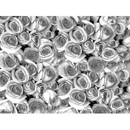 papermoon Fototapete "graue Rosen", B/L: 5m x 2,8m, Bahnen: 10 Stk., bunt, Schlafzimmer, Tapeten