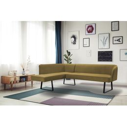 Eckbank, B:249cm H:83cm T:157cm, gelb, exxpo - SOFA FASHION, Esszimmer, Sitzb&auml;nke, "Americano", mit Keder und Metallf&uuml;&szlig;en, Bezug in verschiedenen