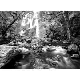 papermoon Fototapete "Wasserfall im Wald Schwarz & Wei&szlig;", B/L: 5m x 2,8m, Bahnen: 10 Stk., schwarz, Schlafzimmer, Tapeten