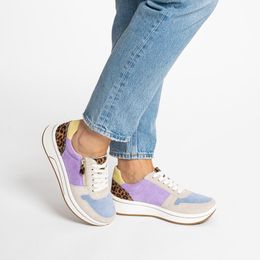 Ara Damen Plateausneaker "SAPPORO 3.0", Gr. 5,5multicolor, leo, Veloursleder, Velourslederimitat, Schuhe, Freizeitschuh, Halbschuh, Schn&uuml;rer mit High