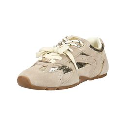 Sneaker Steve Madden "Steve Madden Sneaker Leder", Damen, Gr. 38, gold, beige, Leder, Schuhe Sneaker