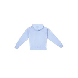 DROPSIZE Herren Kapuzensweatshirt "Dropsize HEAVY OVERSIZE FROTTEE EMBO V2 HOODIE", blau, Gr. L, 70% Baumwolle, 30% Polyester, Sweatshirts