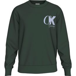 Calvin Klein Herren Sweatshirt "LS EU 350TERRY CK OVERLAP GRAPHI", gr&uuml;n, Gr. L, unifarben, Sweatware, Obermaterial: 100% Baumwolle, Sweatshirts,