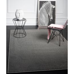 Teppich MERINOS, B:160cm H:20mm L:230cm, grau, Kunstfaser, Wohnzimmer, Teppiche, "Montana", Kurzflor, Uni-Farben, besonders weich