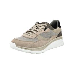 Geox Herren Sneaker "Geox Sneaker Lederimitat/Textil", Gr. 44, beige, Lederimitat, Textil, Schuhe