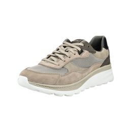 Geox Herren Sneaker "Geox Sneaker Lederimitat/Textil", Gr. 43, beige, Lederimitat, Textil, Schuhe