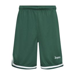 DROPSIZE Herren Shorts "Dropsize Herren Dropsize Logo Mesh Shorts"gr&uuml;n, Gr. S, 100% Polyester, Hosen
