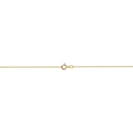 Firetti Damen Collierkettchen "Schmuck Geschenk Gold 333 oder 585 Halskette Ankerkette diamantiert", 38, Gelbgold 585, B: 1mm, gold, Gelbgold 585,