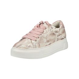 Paul Green Damen Plateausneaker "Paul Green Sneaker Glattleder", Gr. 40,5, rosa, Glattleder, Schuhe