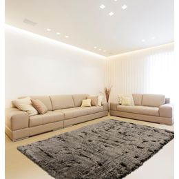 Hochflor-Teppich Calo-deluxe, B:120cm H:52mm L:170cm, gr&uuml;n, Kunstfaser, Teppiche, "Emica-1000", Kunstfell, Wohnzimmer