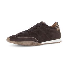 Gabor Damen Sneaker, Gr. 38mokka, leo, Ziegenveloursleder, unifarben mit Farbeinsatz, Schuhe, Freizeitschuh, Halbschuh, Schn&uuml;rschuh mit Ziern&auml;hten