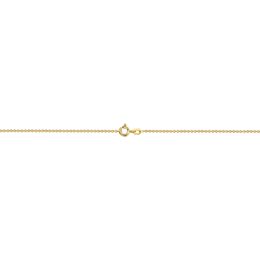 Firetti Damen Collierkettchen "Schmuck Geschenk Gold 333 oder 585 Halskette Ankerkette rund", 40, Gelbgold 333, B: 1,5mm, gold, Gelbgold 333,