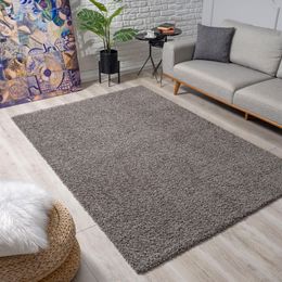 Hochflor-Teppich Sanat, B:160cm H:30mm L:230cm, grau, Kunstfaser, Teppiche, "LOCA , auch als L&auml;ufer und in Rund", Wohnzimmer, Langflor, Shaggy,