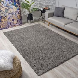 Hochflor-Teppich Sanat, B:120cm H:30mm L:170cm, grau, Kunstfaser, Teppiche, "LOCA , auch als L&auml;ufer und in Rund", Wohnzimmer, Langflor, Shaggy,