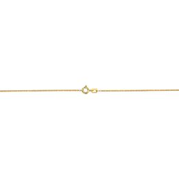Firetti Damen Collierkettchen "Schmuck Geschenk Gold 333 o. 585 Halskette Fuchsschwanzkette dreifach", 50, Gelbgold 585, B: 1,1mm, gold, Gelbgold