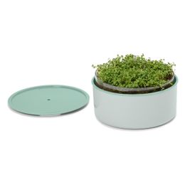 Tchibo - Anzucht-Set &raquo;Microgreens&laquo; - grau