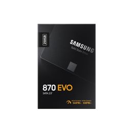 Samsung 870 EVO 250 GB SSD