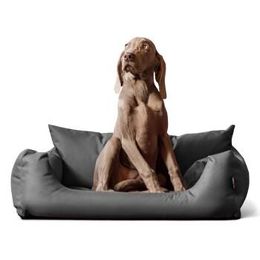 tierlando NEMO Hundebett Hundesofa S M L Hundekorb Katzenbett 65 80 100cm grau/ grau 65 cm, 20 cm, 50 cm