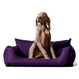 tierlando NEMO Hundebett Hundesofa S M L Hundekorb Katzenbett 65 80 100cm lila 65 cm, 20 cm, 50 cm
