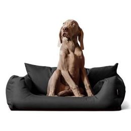 tierlando NEMO Hundebett Hundesofa S M L Hundekorb Katzenbett 65 80 100cm schwarz/ graphit 65 cm, 20 cm, 50 cm
