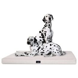 tierlando ALICE VISCO - Orthop&auml;dische Hundematte creme 80 cm, 9 cm, 60 cm