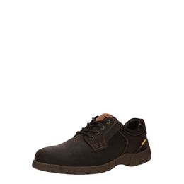 Camel Active Lace-Up Shoes 'ALVAR' male Brown size 42
