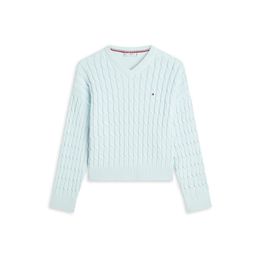 Tommy Hilfiger Sweater female Blue size S