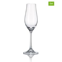 Ogo Living 6er-Set: Sektgl&auml;ser in Transparent - 200 ml - 54% | Gedeckter-tisch