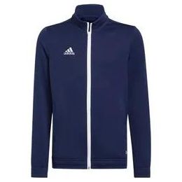 Adidas Entrada 22 Trainingsjacke Kinder tenabl 140
