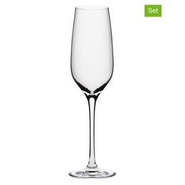 Ogo Living 6er-Set: Champagnergl&auml;ser - 190 ml - 55% | Gedeckter-tisch