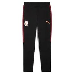Puma Galatasaray Istanbul Evostripe Jogginghose Herren 05 - Puma black 3XL