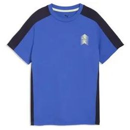 Puma Active Sports Small Graphic T-Shirt Jungen 50 - royal sapphire 152