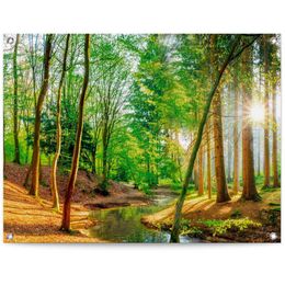 Reinders Poster &raquo;Sonniger Wald&laquo; gr&uuml;n Leinwand