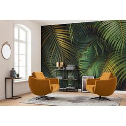 Komar Fototapete &raquo;Digitaldruck Vlies - Amazon Fern - Gr&ouml;&szlig;e 400 x 250 cm&laquo; bedruckt glatt Wohnzimmer, Schlafzimmer gr&uuml;n Vlies