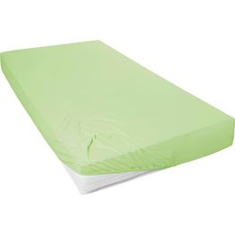 Primera Spannbettlaken &raquo;Mako-Feinjersey Spannbetttuch&laquo; Geeignet f&uuml;r Standardmatratzen bis 22 cm, 100% Baumwolle gr&uuml;n Mako-Jersey, Obermaterial: 100% Baumwolle