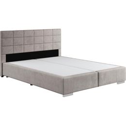 COTTA Boxspringbett &raquo;Simba&laquo; Topseller! wahlweise mit oder ohne Matratze und Topper bestellbar grau Polyester