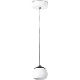 Paco Home Pendelleuchte &raquo;CLEO&laquo; Warmwei&szlig; LED Pendelleuchte Wohnzimmer H&auml;ngelampe Esszimmer K&uuml;chenlampe Kugel schwarz