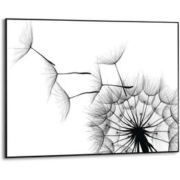 Reinders Wandbild &raquo;Slim Frame Black 50x70 Dandelion&laquo; schwarz MDF