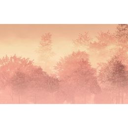 Komar Vliestapete &raquo;Digitaldruck Vlies - Heartwood - Gr&ouml;&szlig;e 400 x 250 cm&laquo; bedruckt glatt Wohnzimmer, Schlafzimmer rosa Vlies