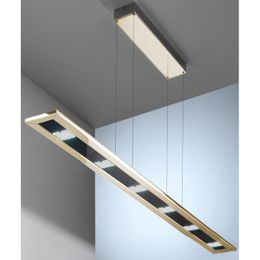 Evotec LED Pendelleuchte &raquo;DESIGNLINE&laquo; LED-Board Neutralwei&szlig; Tageslichtwei&szlig; Warmwei&szlig; LED H&auml;ngelampe, LED H&auml;ngeleuchte, Farbwechsel grau
