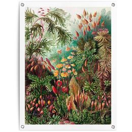 Reinders Poster &raquo;Sea Flora&laquo; gr&uuml;n Leinwand